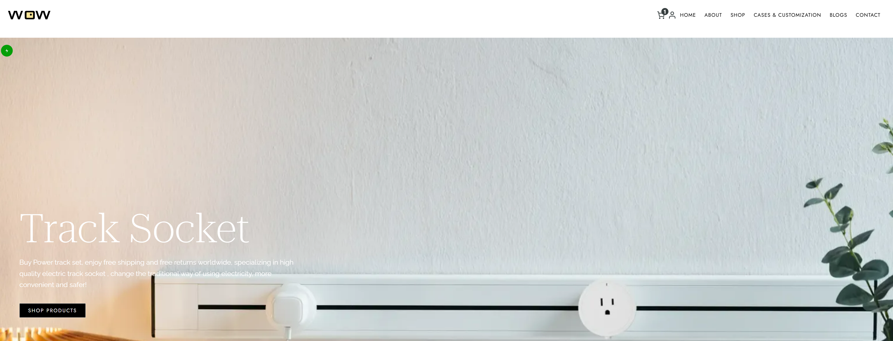 Top 8 Best Power Rail Brands in Singapore 2025 - WOWSocket Track Socket